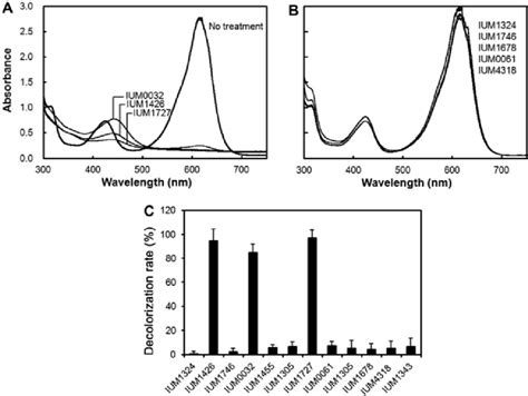 Decolorization Of Mg In Aqueous Solution The Reaction Mixture