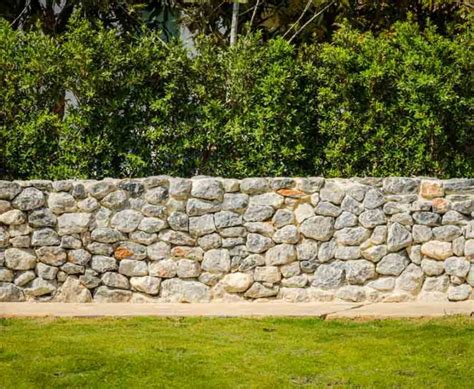 Top 10 Alternatives To Wood Fences Pros And Cons