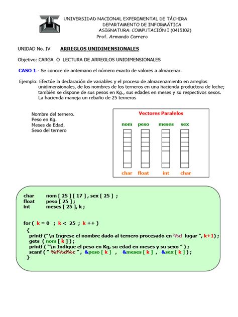 Guia No 4 Arreglos Unidimensionales Pdf Programación De Computadoras Informática
