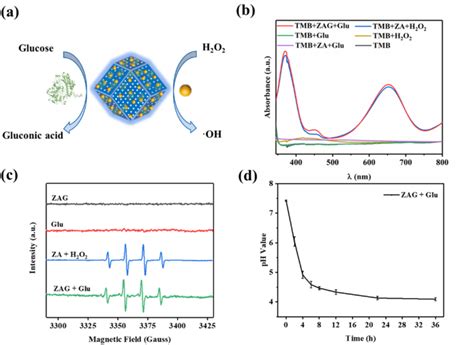 Triple Synergistic Mof Nanozyme For Efficient Antibacterial Treatment Pmc