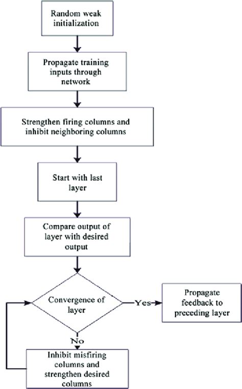 Training Of A Cortical Network Download Scientific Diagram