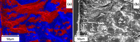 surface edx mapping a and sem micrograph b after 4 h nitridation at