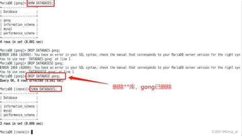 linux中mysql数据库的管理、实操 linux mysql使用 csdn博客