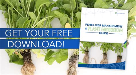 Chart Of Different Fertilizer For Plants A Complete Guide Of Seaweed