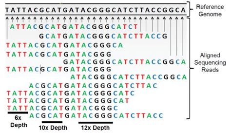Intro To Ngs Data Analysis Workflow Diagnostech South Africa