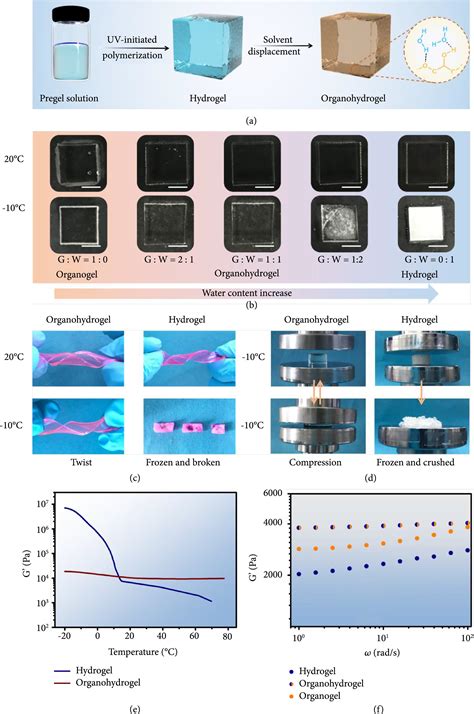 Antifreezing And Stretchable Organohydrogels As Soft Actuators Research