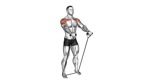 10 Exercises For Side Deltoids That Will Transform Your Shoulders Workout Guru