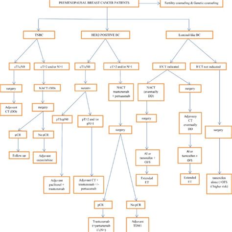 Algorithm For The Management Of Premenopausal Patients With Early Stage