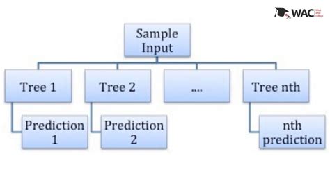 Decision Tree Vs Random Forest Algorithms What After College