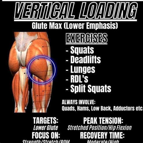Top 3 Exercises To Grow Glutes Hamstrings At Home Fast Artofit