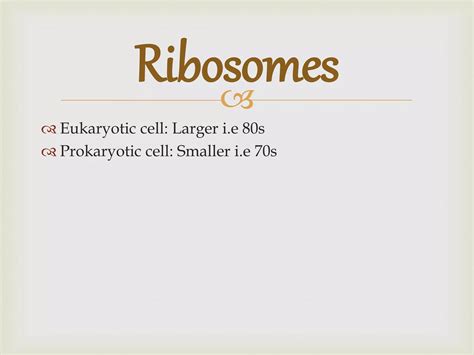 Difference Between Prokaryotes And Eukaryotes Pptx