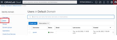 Using Identity Domain