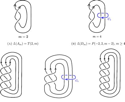 Figure 1 From Cyclic Branched Covers Of Seifert Links And Properties