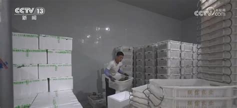 “农田直达餐桌”！冷藏保鲜设施县级覆盖率达70 以上 新闻频道 央视网