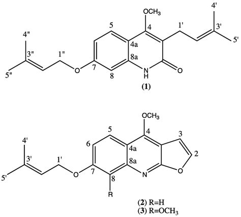 Gambar Struktur Umum Alkaloid 44 Koleksi Gambar