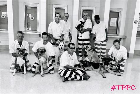 Intake Type Aco Stray Intake Date 05 01 2025 Found Running On The Beach In Biloxi