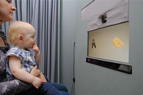 Figure 3 From Prime Saliency In Semantic Priming With 18 Month Olds