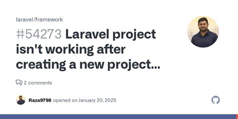 laravel project isn t working after creating a new project v11 5 1