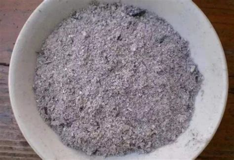 用草木灰浸出液喷施兰花叶面，做好这几点工作效果更佳！