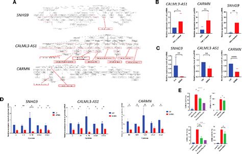 Figure 1 From Integrative Single Cell Transcriptomic Investigation