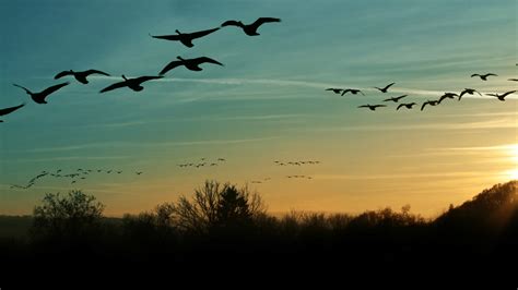 Oracle Forms To Apex 5 Advantages