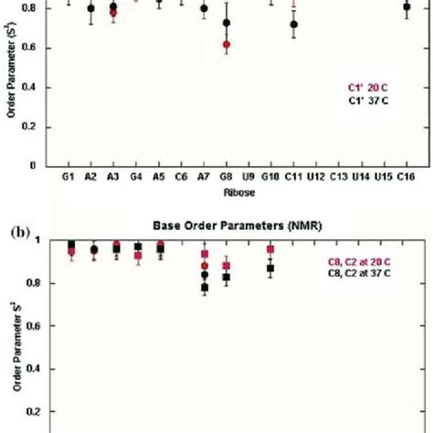 13 C Nmr Order Parameters For The Ire At 20 And 37 °c A S 2 For Download Scientific Diagram