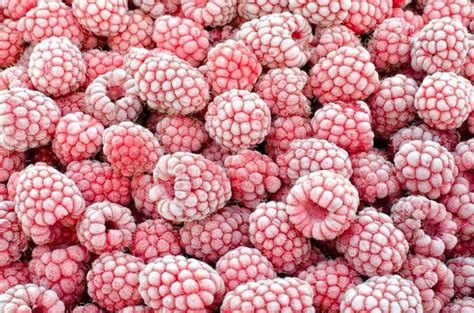 Ukraine Has Become The World Leader In Frozen Raspberry Exports