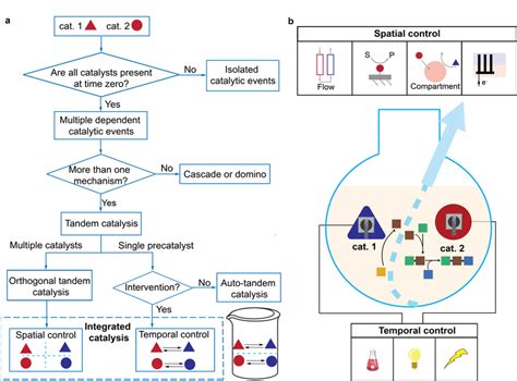 Concept Of Integrated Catalysis A A Flowchart Guide To Nomenclature Download Scientific