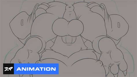 Collection Video Zonkpunch Collection [2025 04 16] [zonkpunch
