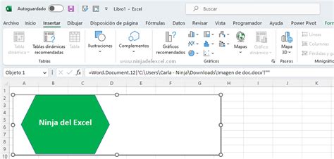 Vincular Imagen De Word A Excel Ninja Del Excel