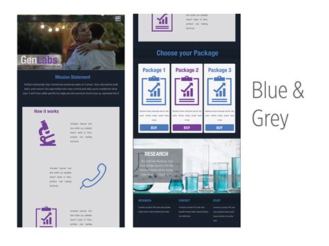 General Assembly Visual Design Final Presentation On Behance