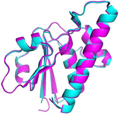 Superimposition Of Arsenate Reductase Model Purple Color With The