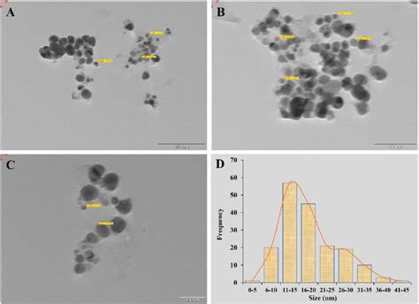 a c tem micrograph of synthesized pl agnps d histogram of particles