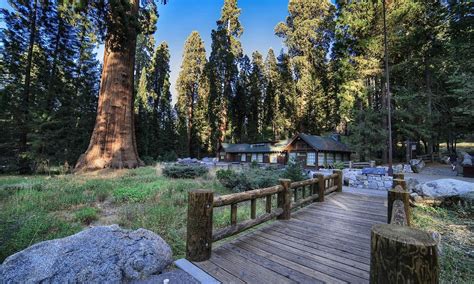 The 10 Best Things To Do In Sequoia And Kings Canyon National Park