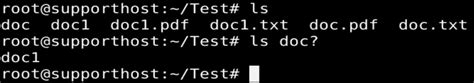 Most Used Linux Commands You Need To Know SupportHost