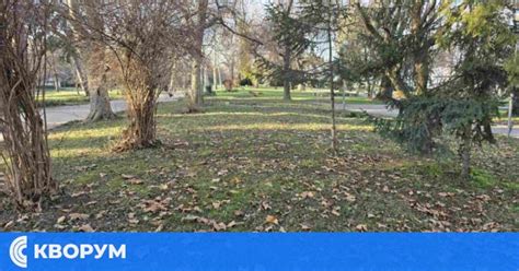 Слънчево начало на седмицата Кворум Силистра