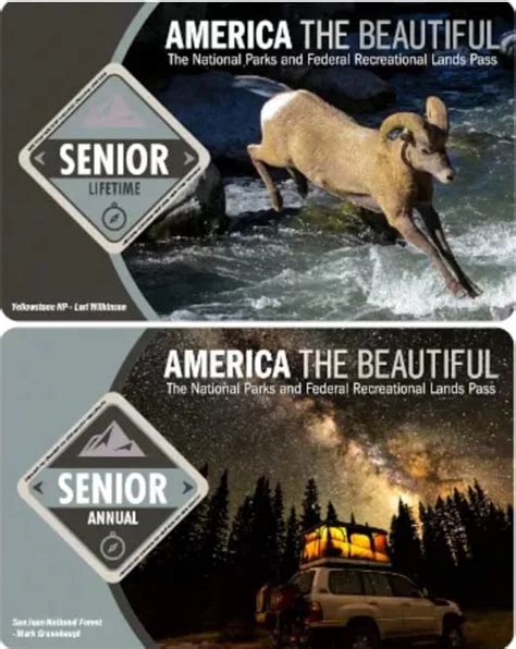 Complete Guide To The Us National Park Pass Updated With 2026 Info