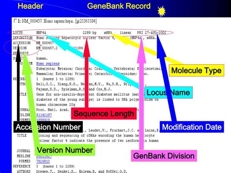 Ppt Genbank Powerpoint Presentation Free Download Id 648858