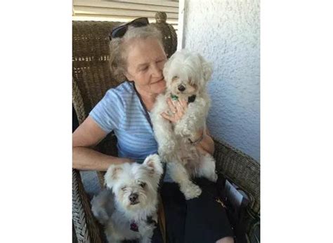 Catherine R Sirey Obituary 2024 Island Park Ny Macken Mortuary