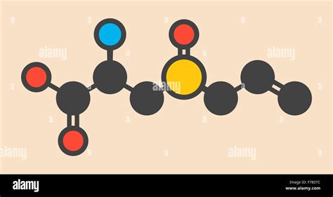Alliin Garlic Molecule Stylized Skeletal Formula Chemical Structure