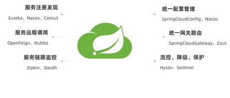 认识微服务 SpringCloud 史上最全学习路线 阿里云开发者社区