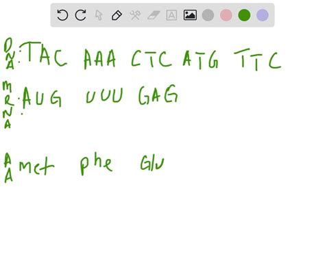SOLVED Given The Following DNA Sequence Write The Complementary RNA Sequence Then The Amino