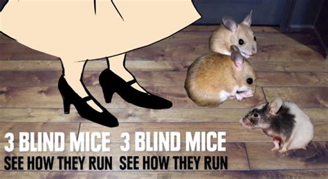 Three Blind Mice Quotes