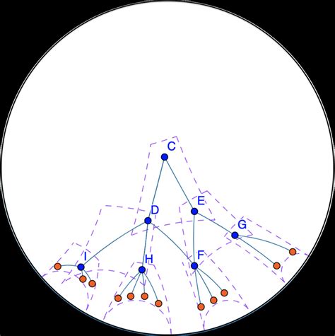 Static Vs Dynamic Representation A Hyperbolic Vectors Have Lower Download Scientific Diagram