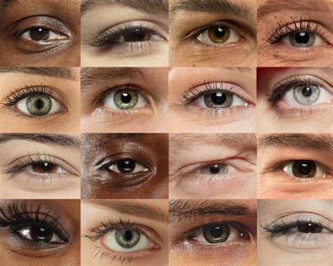 Eye Shapes Optical Centre Smartbuyglasses Uk