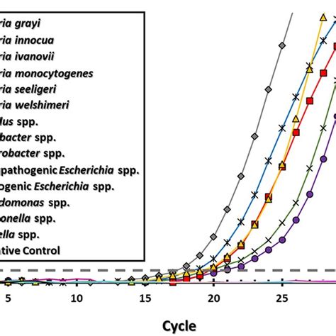 Specificity Of The Oligonucleotide Based Assay For Target Rna Download Scientific Diagram