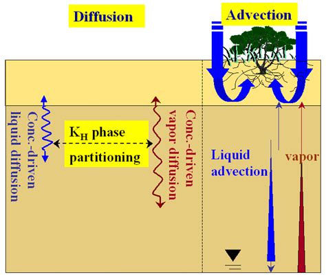 Present Climate Advective And Diffusive Solute Fluxes In The Dash Model