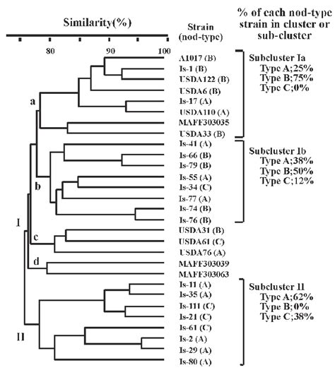 dendrogram constructed by the upgma cluster analysis from aflp