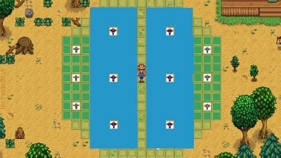 Iridium Sprinkler Best Layout Guide Stardew Valley September 2024
