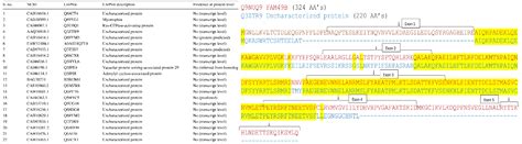 Protein Identification By Lc Ms Ms Service Mtoz Biolabs